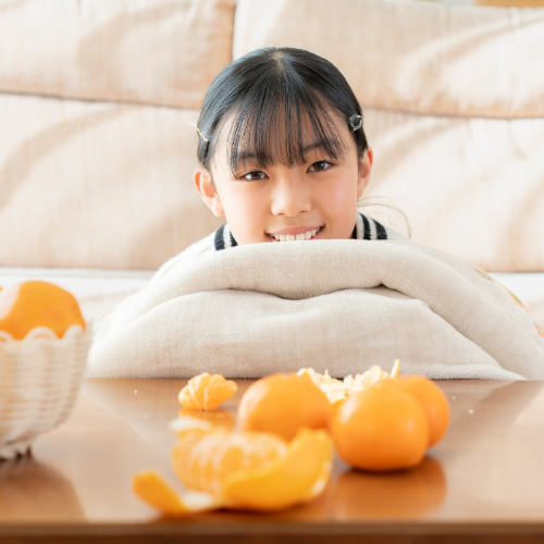 A Practical Way to Enjoy a Japanese Kotatsu in Europe – okawakagu.com